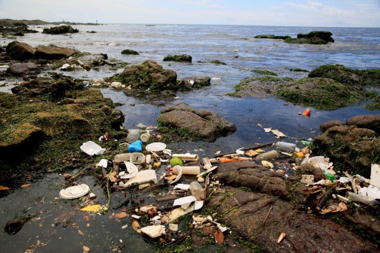 How is litter in the UK impacting our environment? | Greenredeem ...