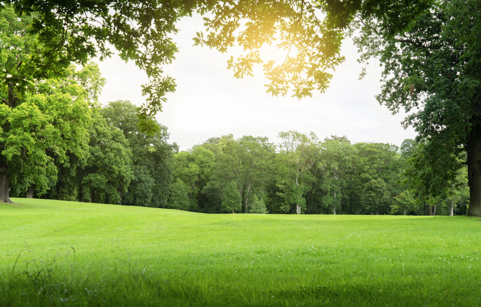 What Are Carbon Footprints? | Greenredeem | Sustainability Blog