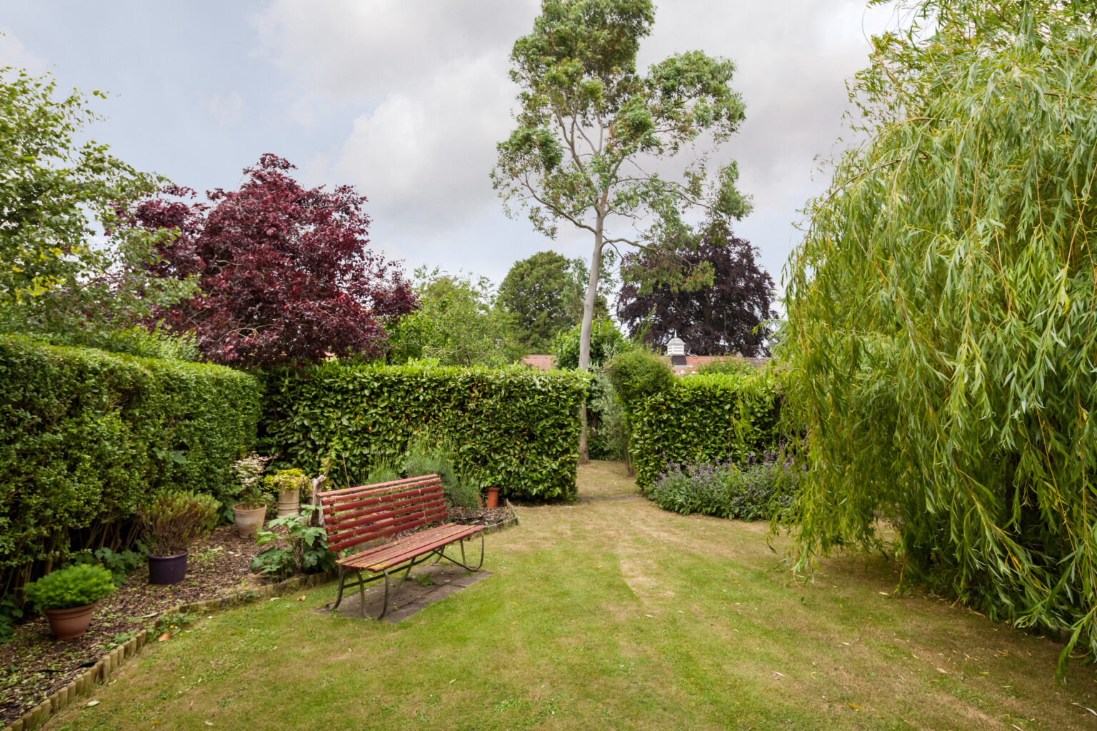 How to create a green space in your space | Greenredeem ...