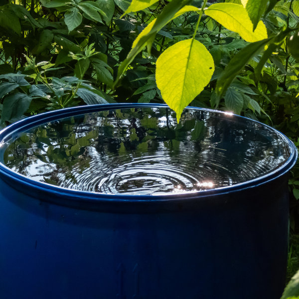 How To Stop Wasting Water At Home | Greenredeem | Sustainability Blog